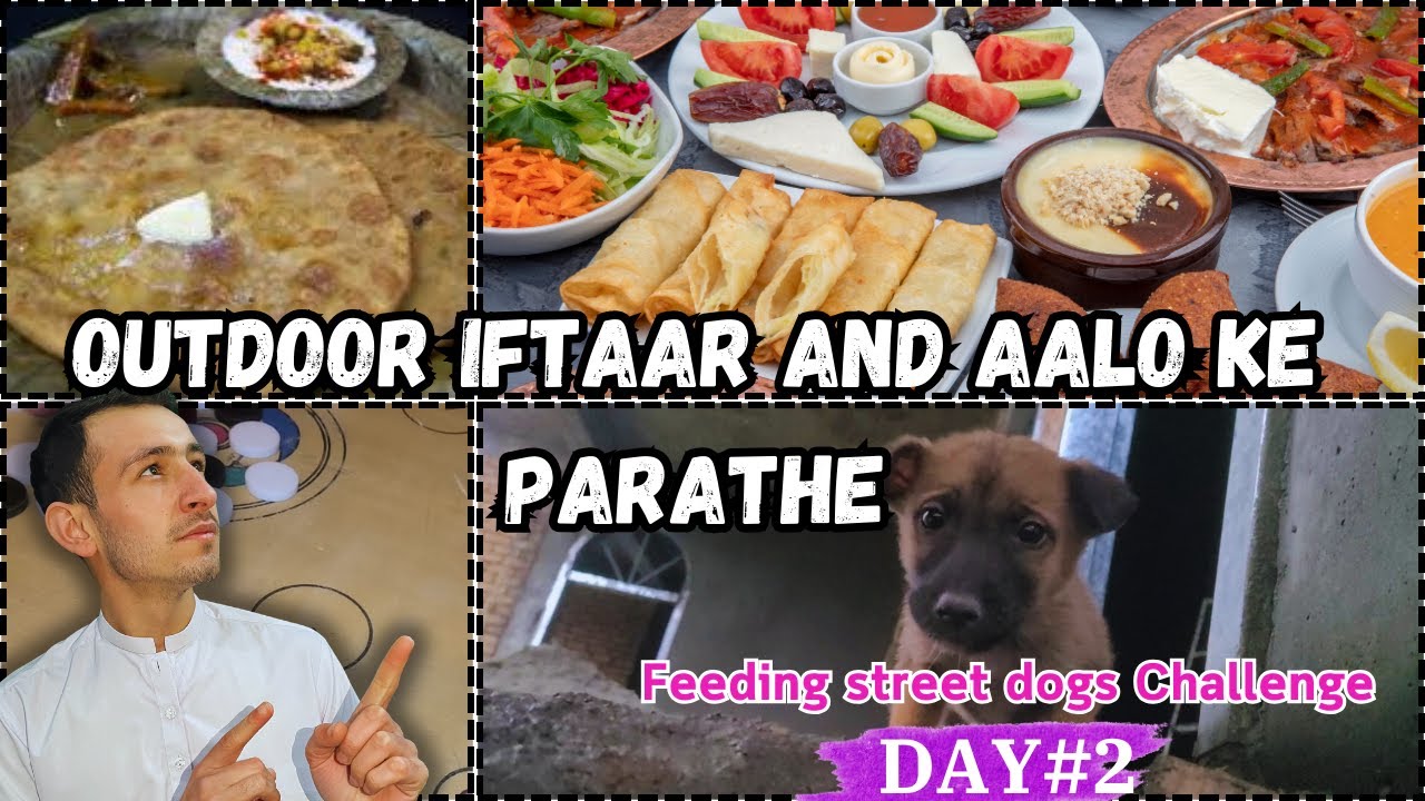 Feeding street dogs challenge Day#2 | Outdoor iftari | Urdu Vlogs ...