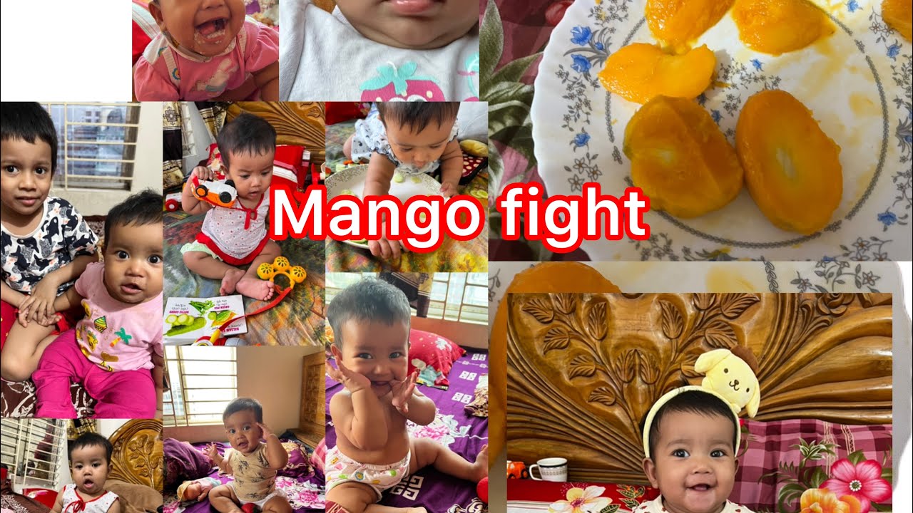 Brother Sister mango fight || polo কেন মারলো pinky চুপ কেন ॥ - YouTube