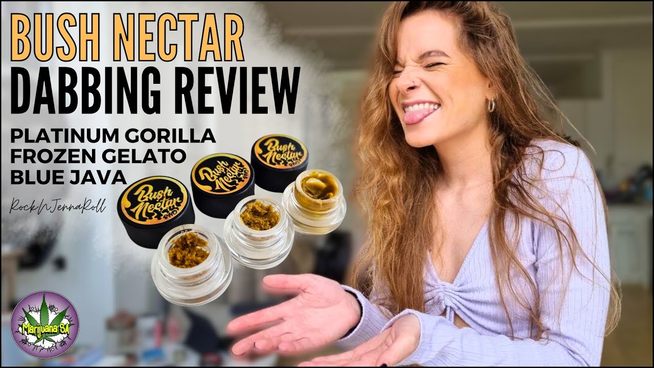 Dabbing Experience: Exploring Bush Nectar's Strains - Frozen Gelato ...