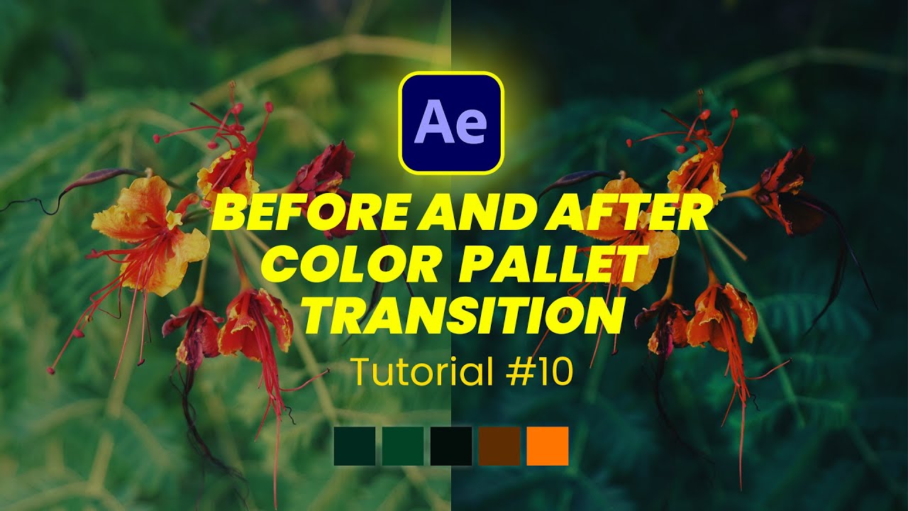 Before and After color pallet transition tutorial #10 - YouTube