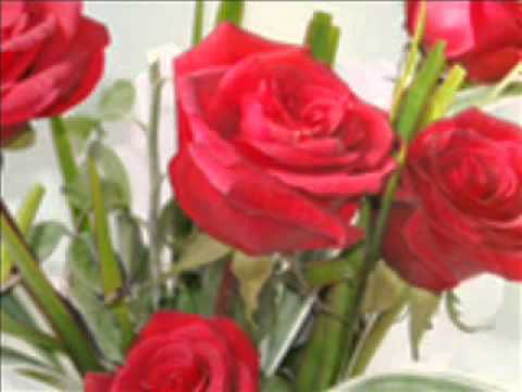 Ayurvedic medicine - Desi gulab ( Rosa damascena ) - YouTube