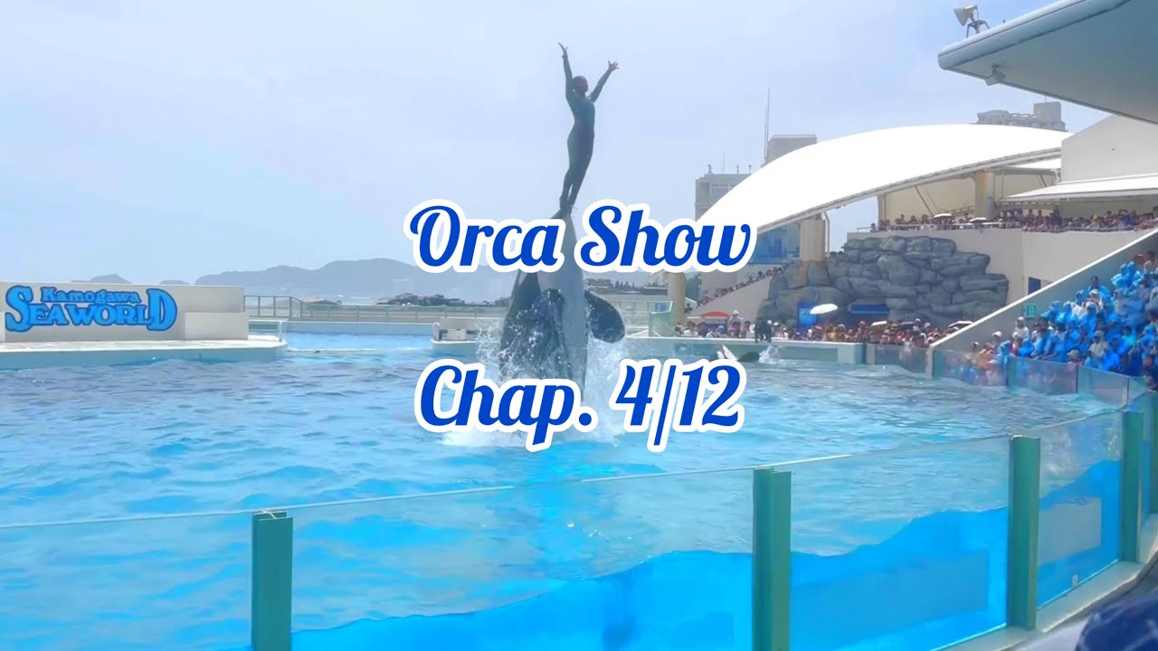 Beautiful splash! Orcas show at Japan Sea World 4/12 - YouTube