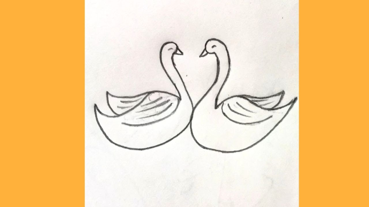 How to draw love birds step by step/Love Bird Drawing Easy - YouTube