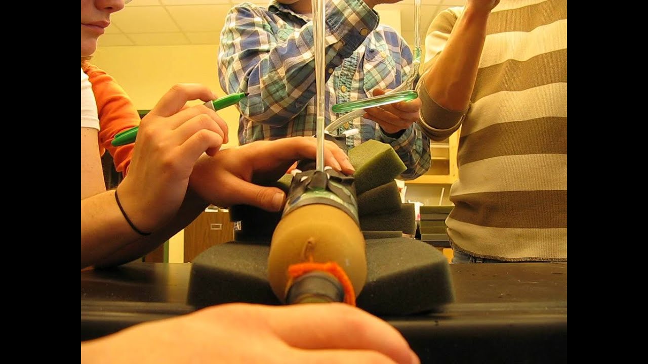 Exploring Darcy's Law with homemade aquifers - YouTube