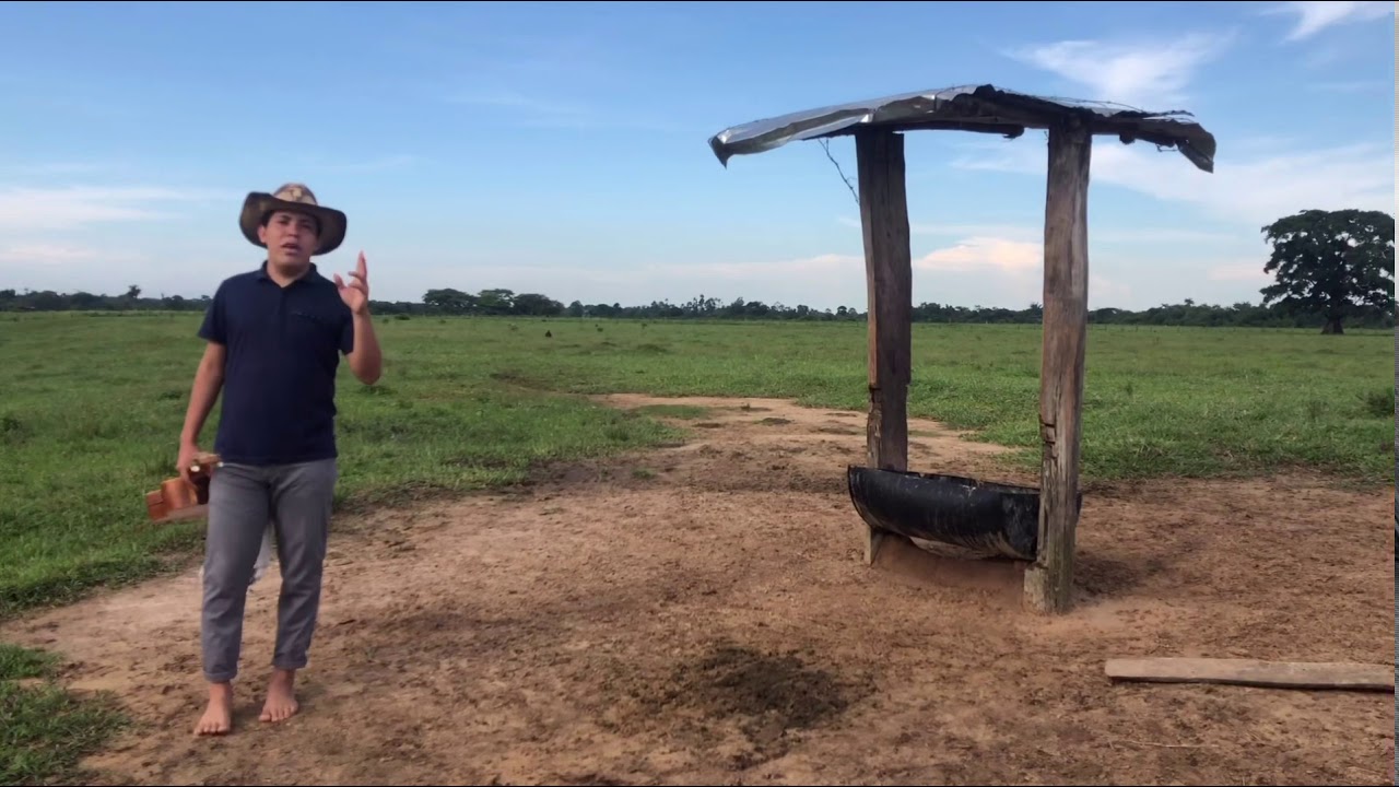 Cultura Llanera “llanero si soy llanero” - YouTube