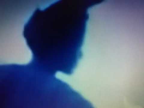 Wanita Penggoda Cinta (Official Video Song)