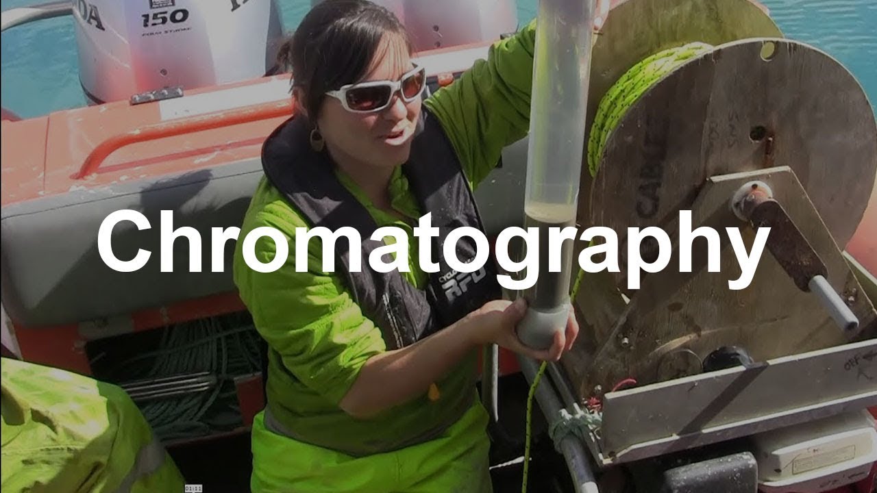 Tracking environmental change using pigments - YouTube