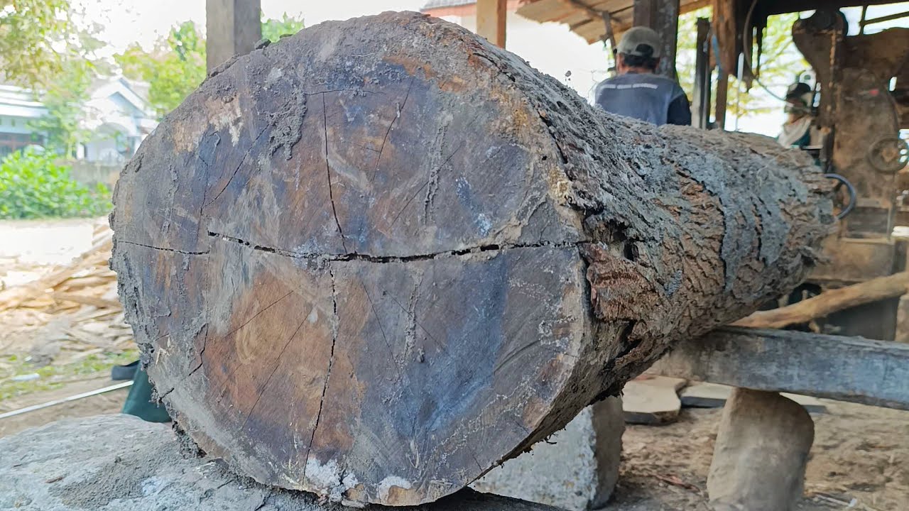 fragile wood full of surprises. - YouTube