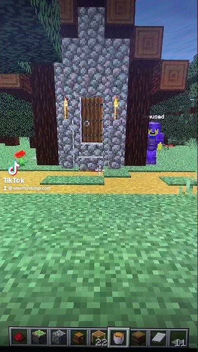 Revenge Prank Part 3 on AmethystSMP.com - YouTube