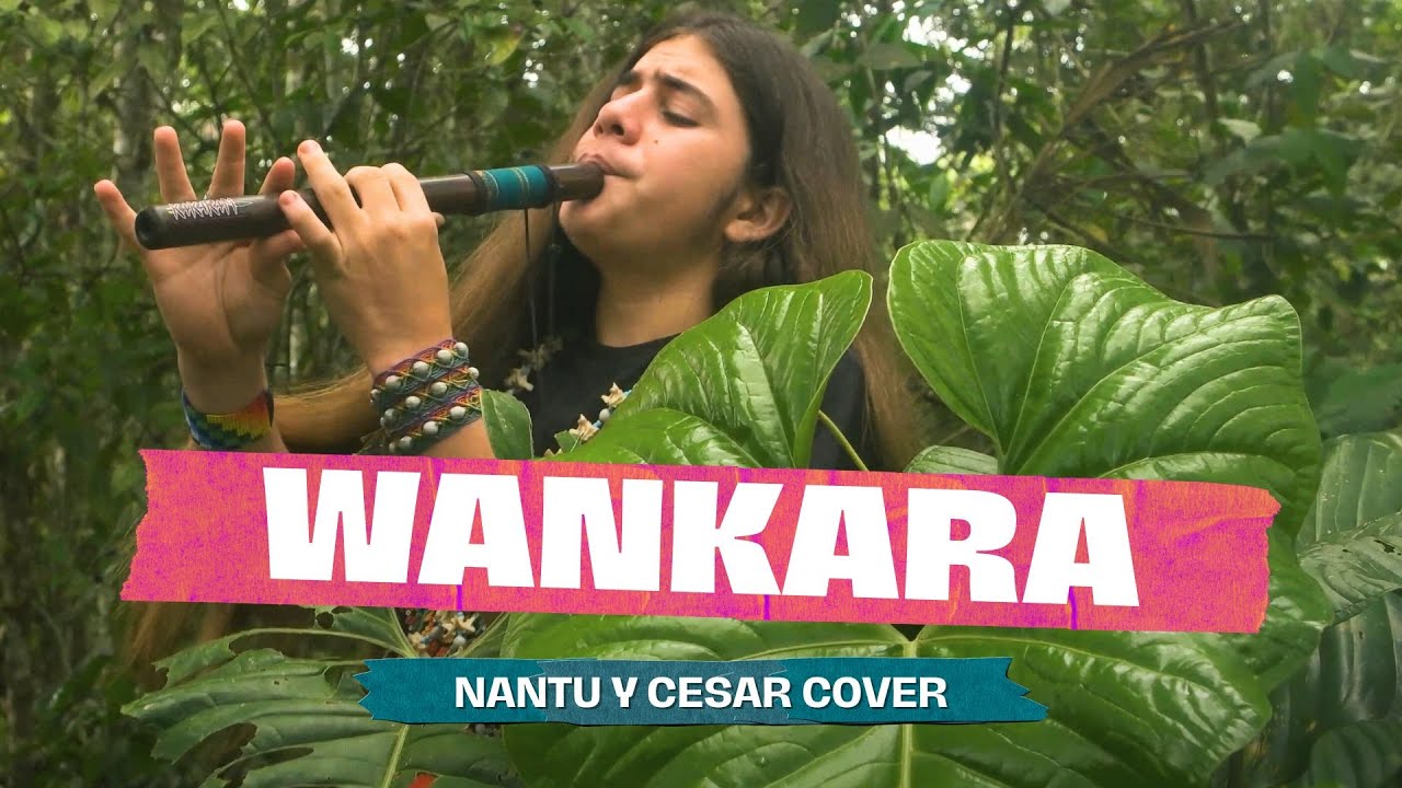 WANKARA cover QUENA #musica - YouTube