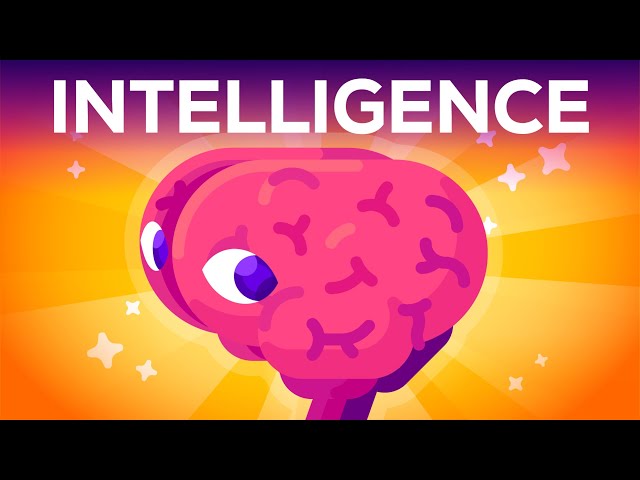 What Is Intelligence?