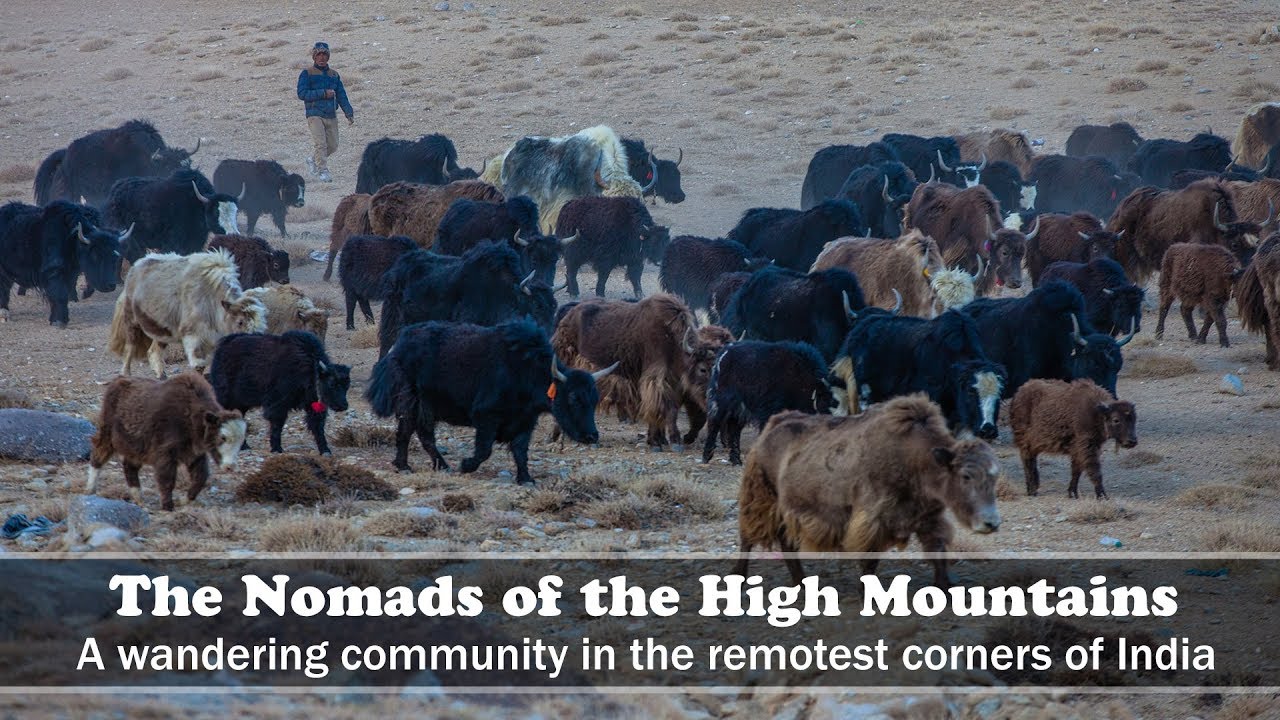 Changpa: Nomadic Shepherds of the High Himalayas (updated version ...
