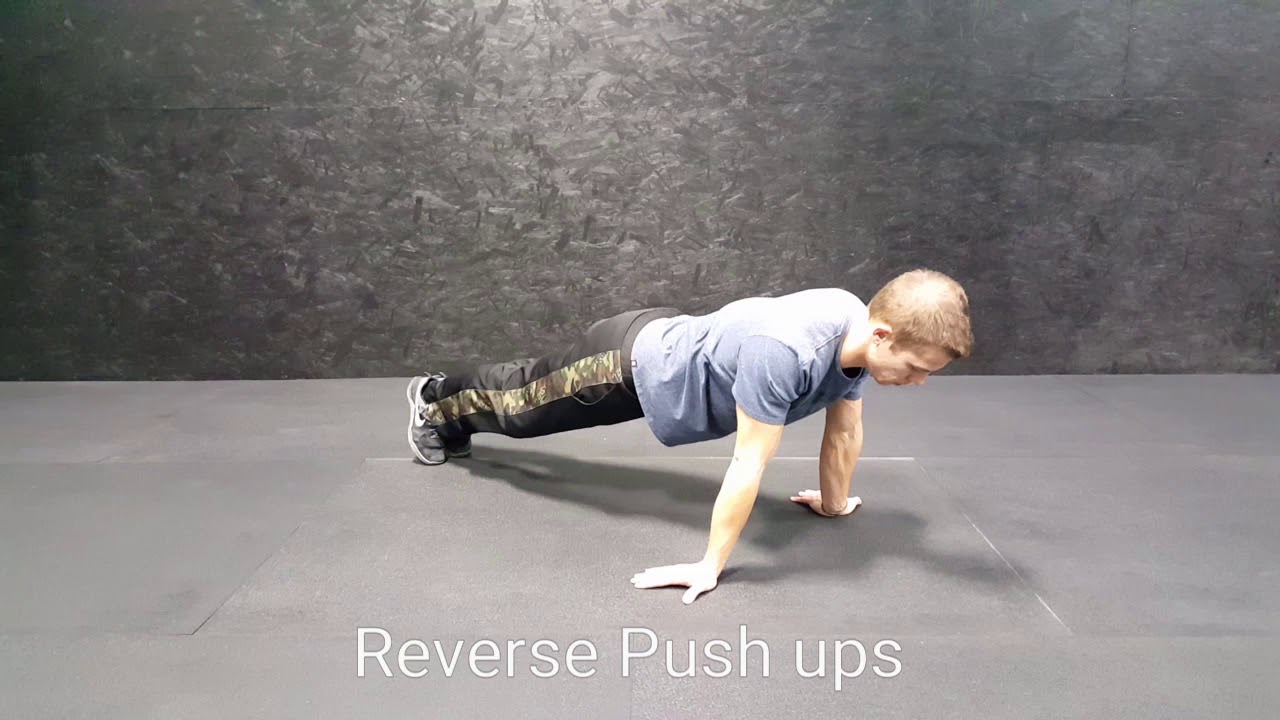 Reverse Push Ups - YouTube