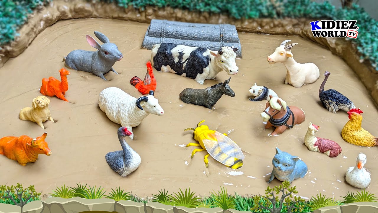 MIND-BLOWING Farm Animals Rescue Missions You Need to See! - YouTube