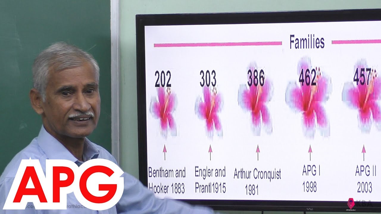 16.Botany | Taxonomy & systematic botany | APG - YouTube