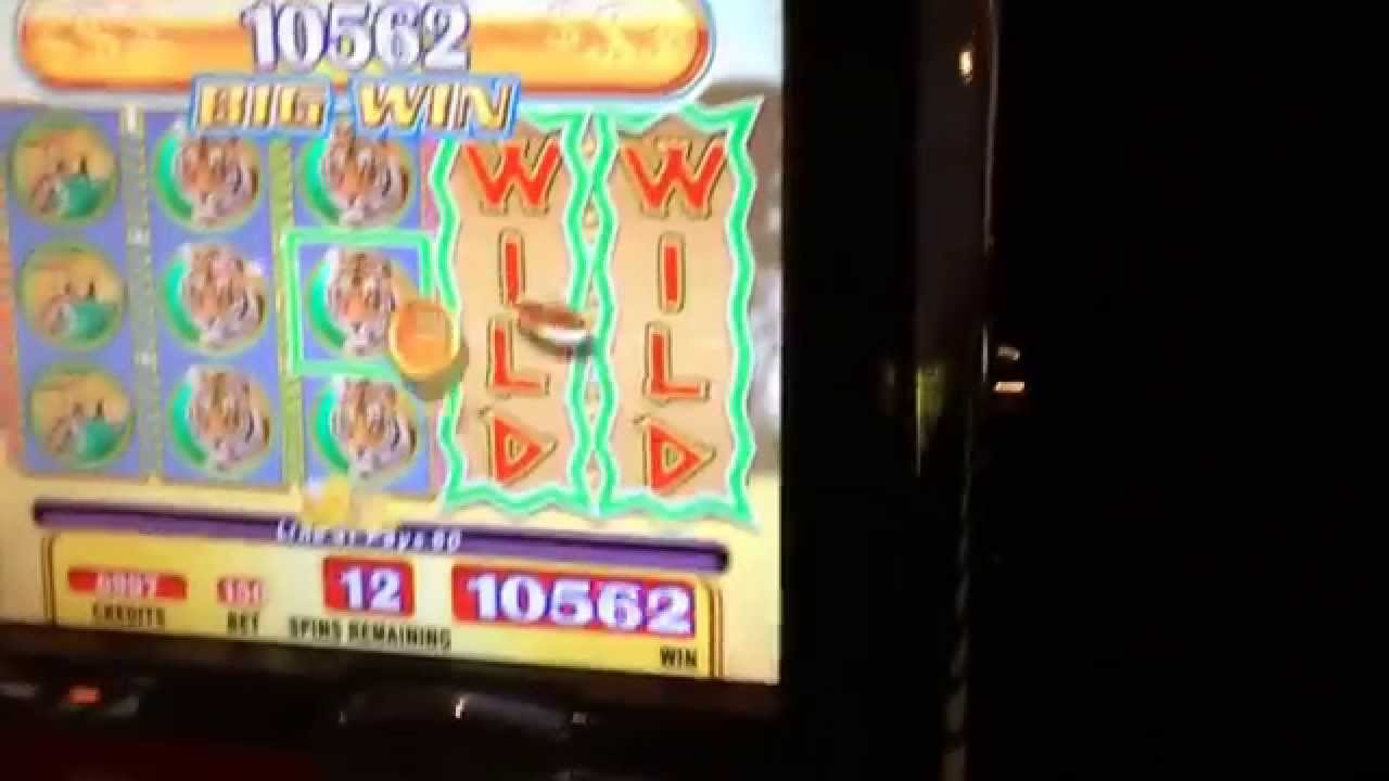 Running wild slot machine bonus big win - YouTube