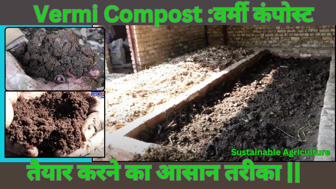Vermi Compost :वर्मी कंपोस्ट तैयार करने का आसान तरीका || Sustainable ...