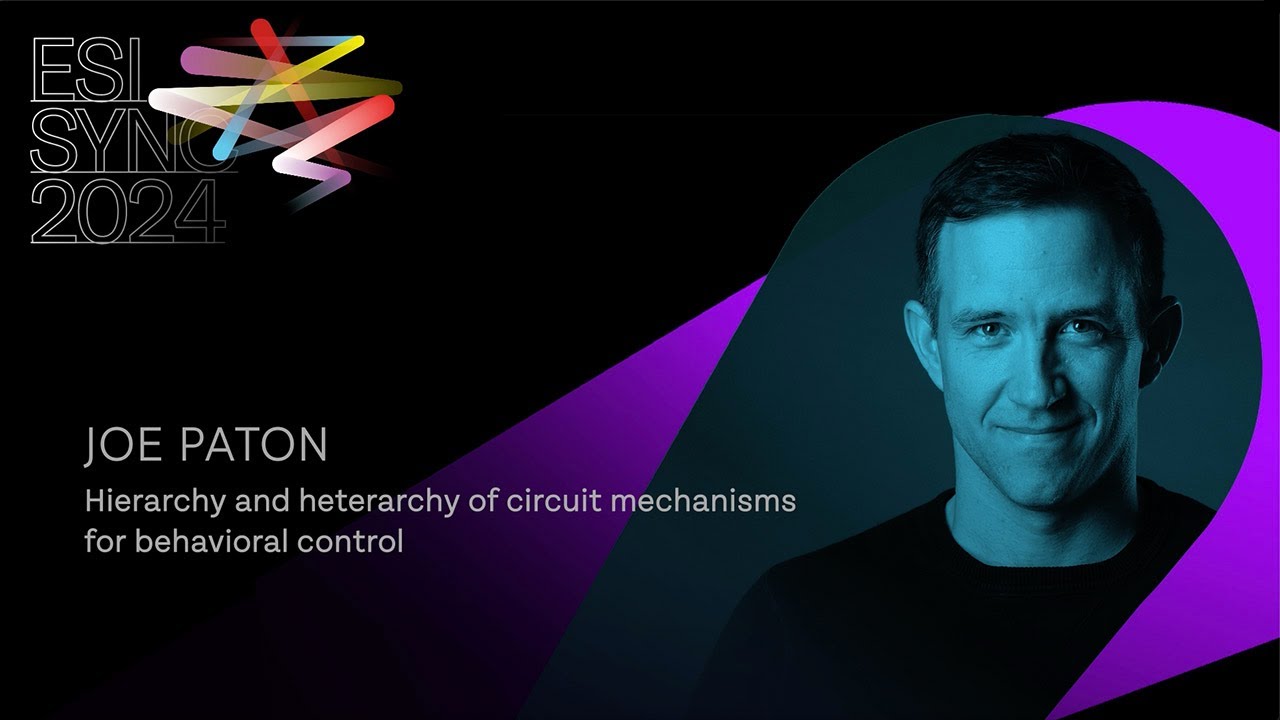 Joe Paton, PhD: Hierarchy and heterarchy of circuit mechanisms for ...