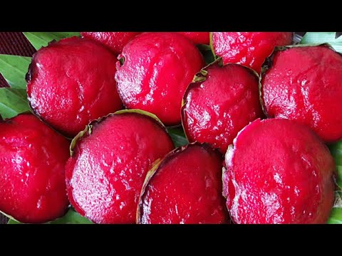 Putong Bigas Recipe - YouTube