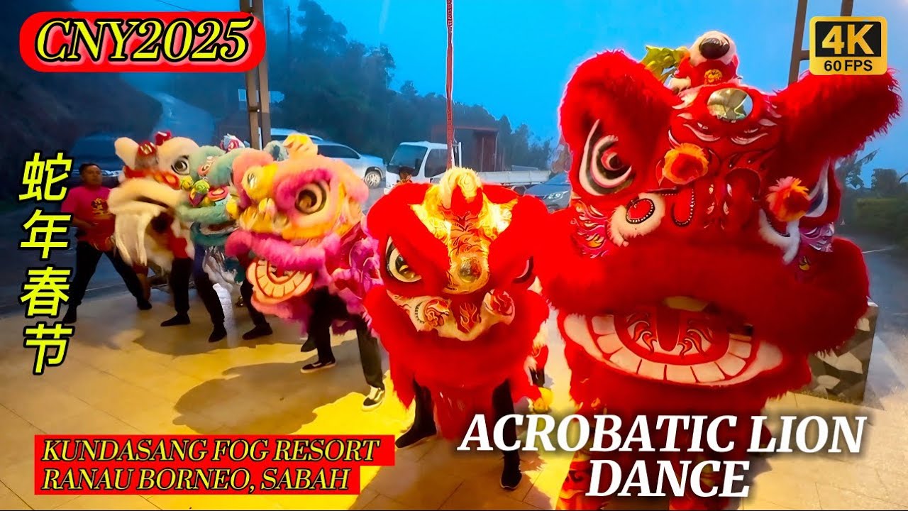 LION DANCE 🦁 TARIAN SINGA 2025‼️EPIC MOMENT FIRE WORK DISPLAY ...