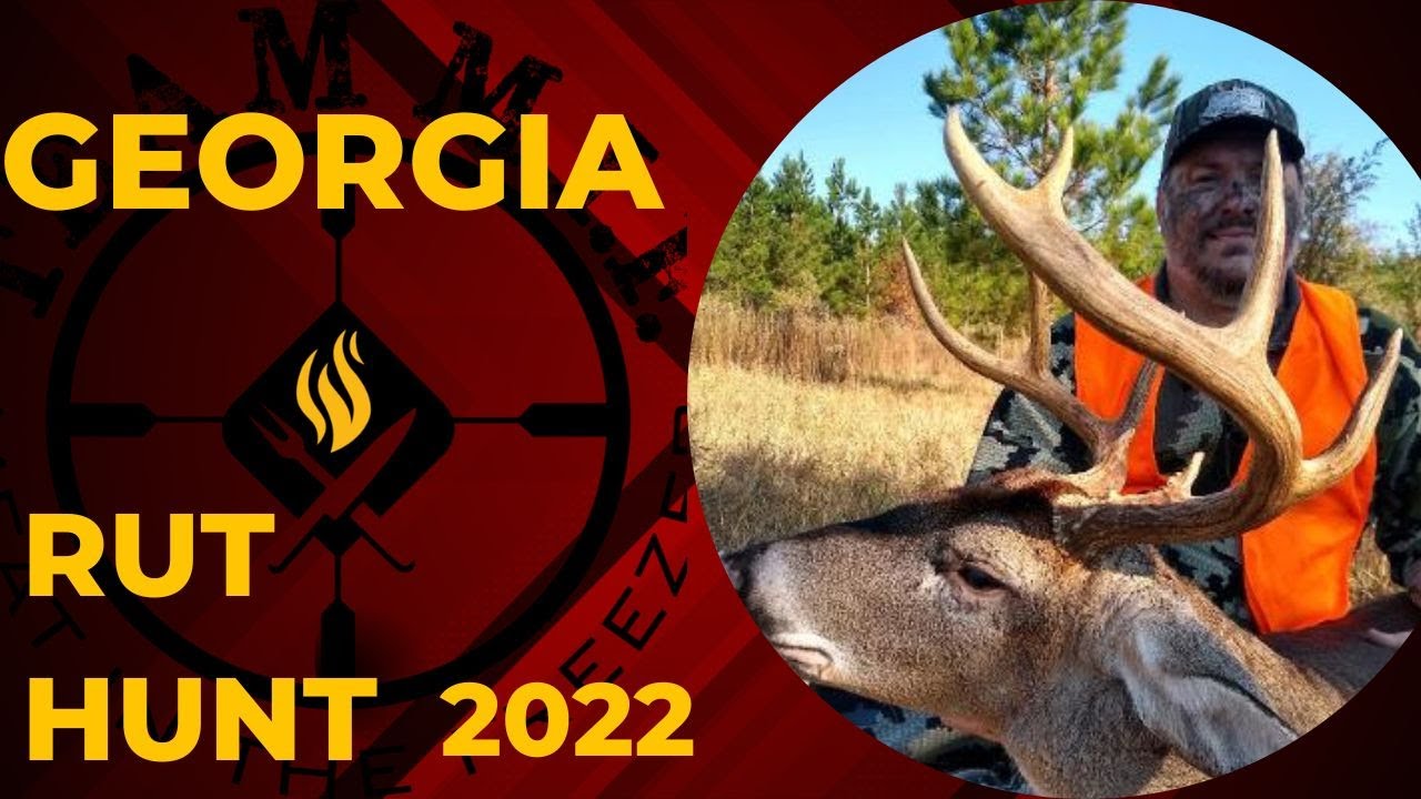 DEER HUNTING IN GEORGIA RUT, BIG BUCK DOWN! - YouTube