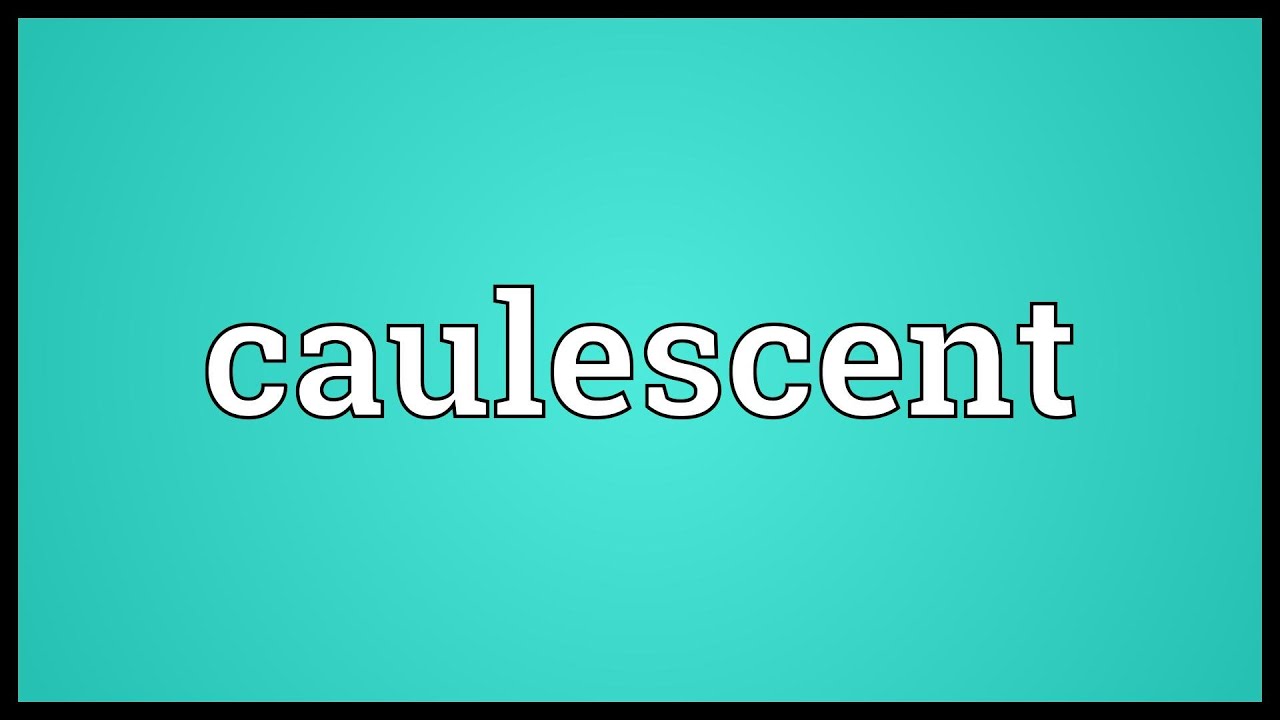 Caulescent Meaning - YouTube
