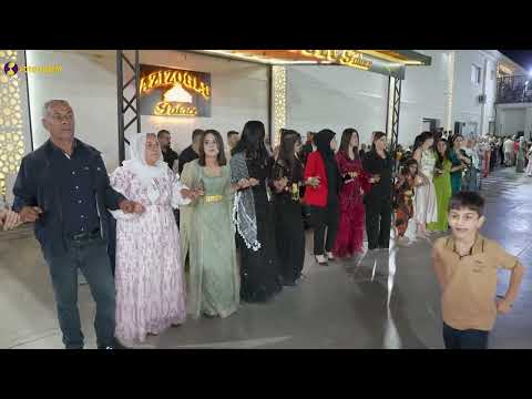 Fesih Uytun Düğünü Part 6 / Foto Gizem