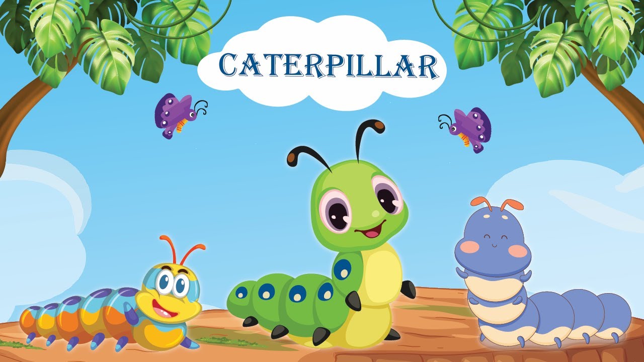 I am a little caterpiller nursery rhymes | Original kids song | Pre ...