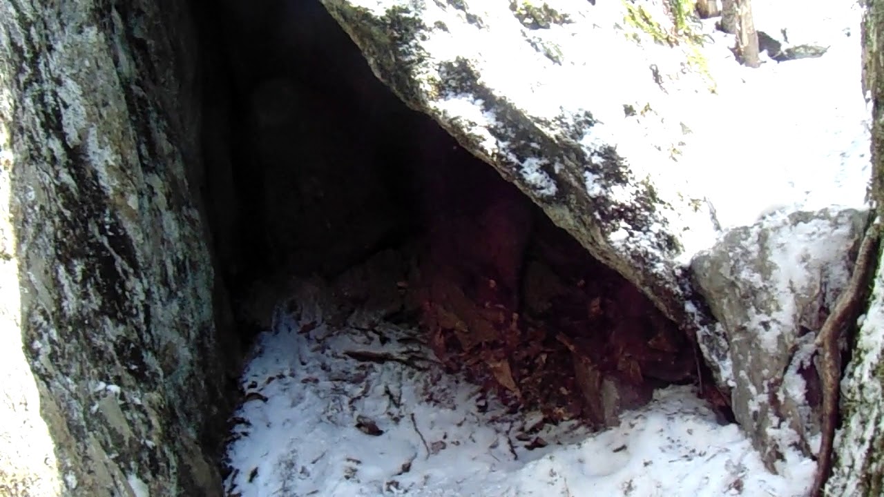 Bigfoot Nest in Winter 3 17 cave floor lined w/elm bark - YouTube