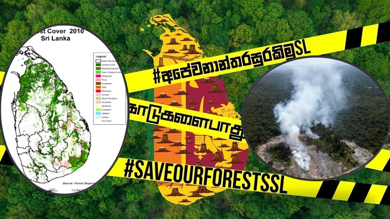 What is The Forest cover in Sri Lanka ? - YouTube