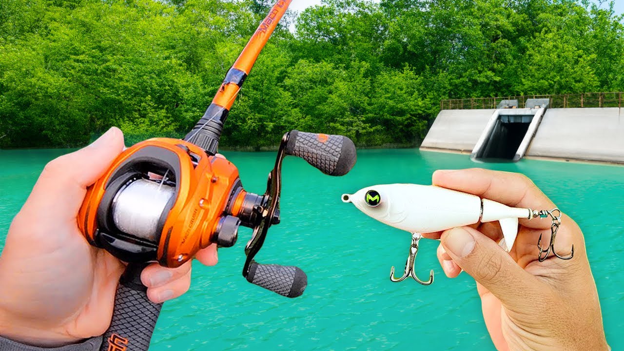 Random Topwater Budget Fishing Challenge! - YouTube