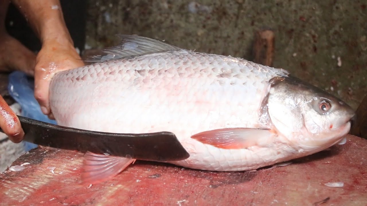 Beautiful Ruhi Fish Cutting Video | Best Fish Cutting Skills In The ...
