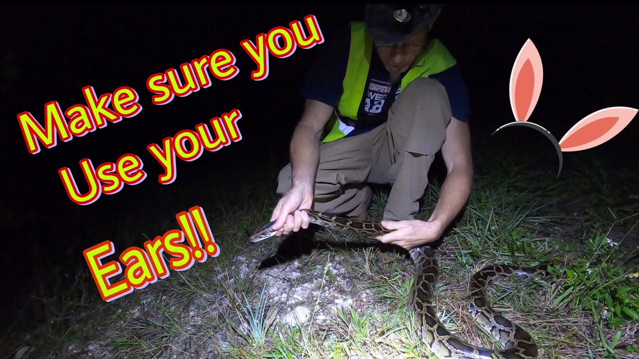 Make sure you use your ears! - YouTube