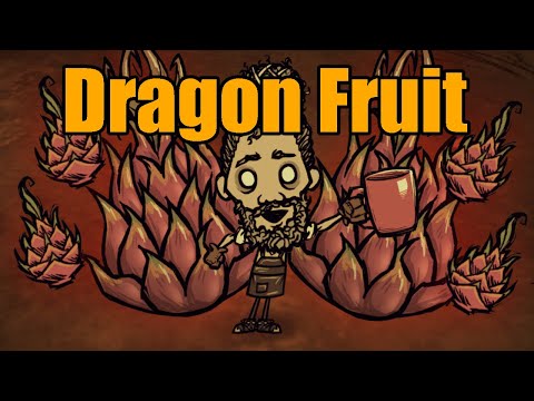 HODOWLA DRAGON FRUITA w DST - YouTube