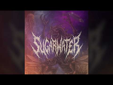 SUGARWATER - EDGAR [OFFICIAL LYRIC VIDEO] (2026) SW EXCLUSIVE