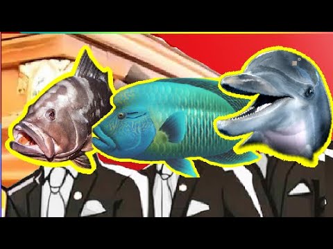 Grouper Vs Napoleon Vs Dolphin - Coffin Dance Meme Cover - YouTube
