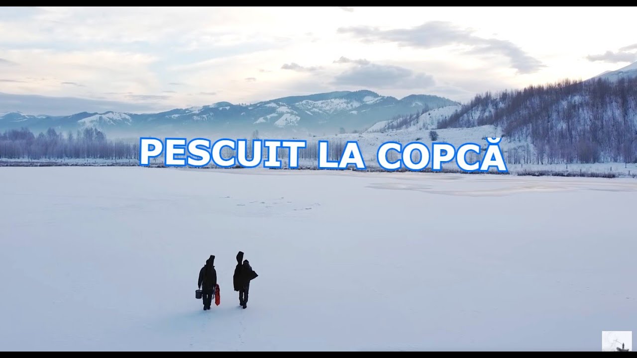 Pescuit La Copca 2021 ÎN BÂRLOGUL CRAPILOR - Filmare subacvatică și ...