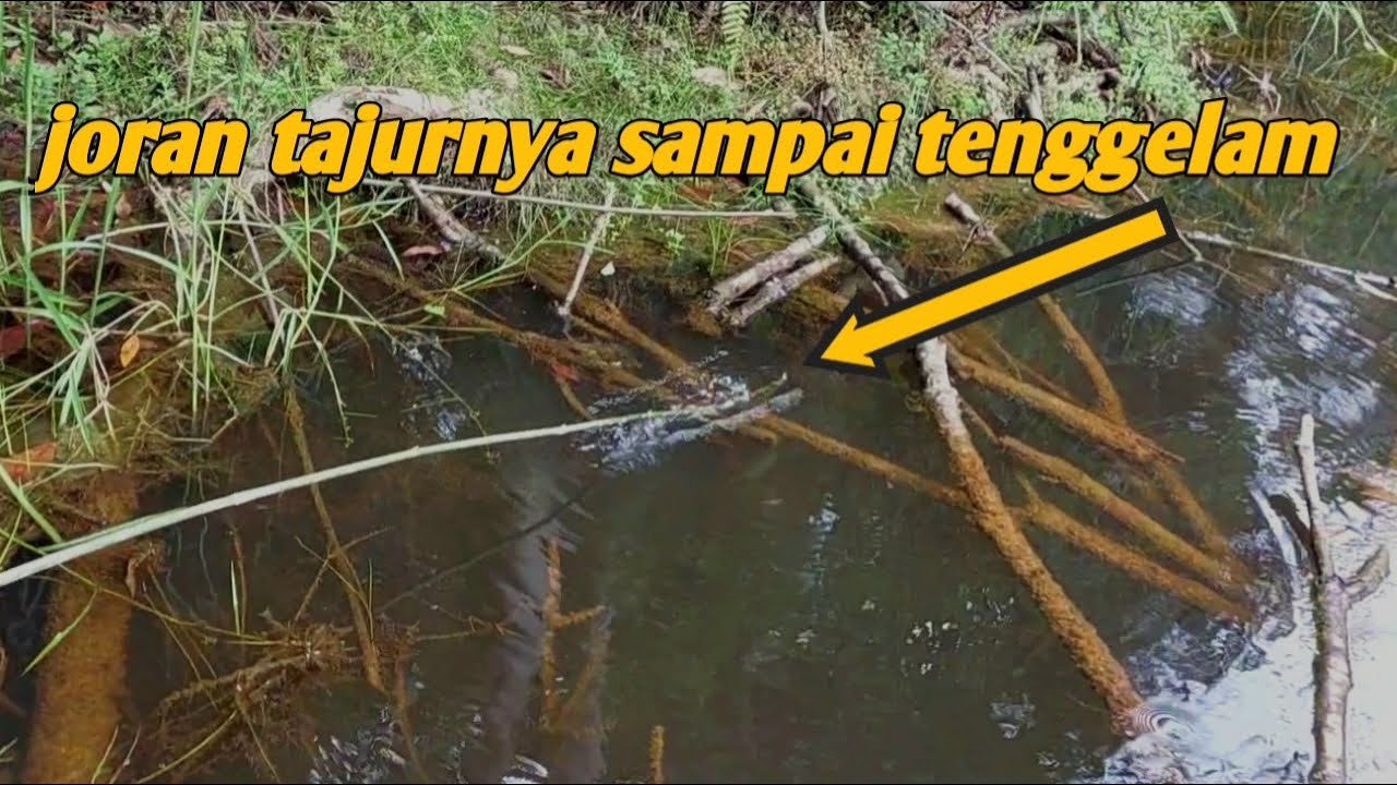 Najur ikan gabus dan ikan bujuk - Snackhead series - YouTube