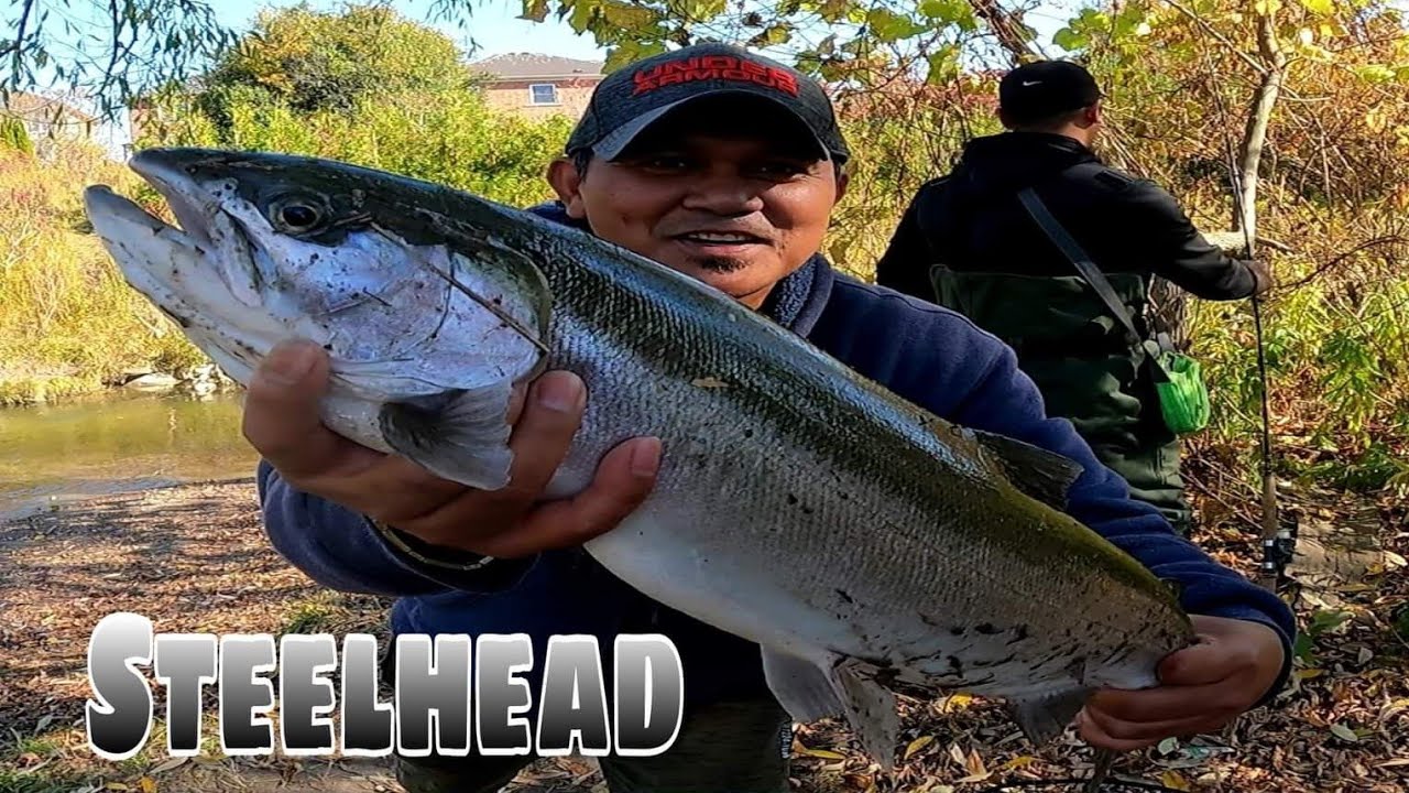 Steelhead fishing adventure With Friends #Steelhead run - YouTube