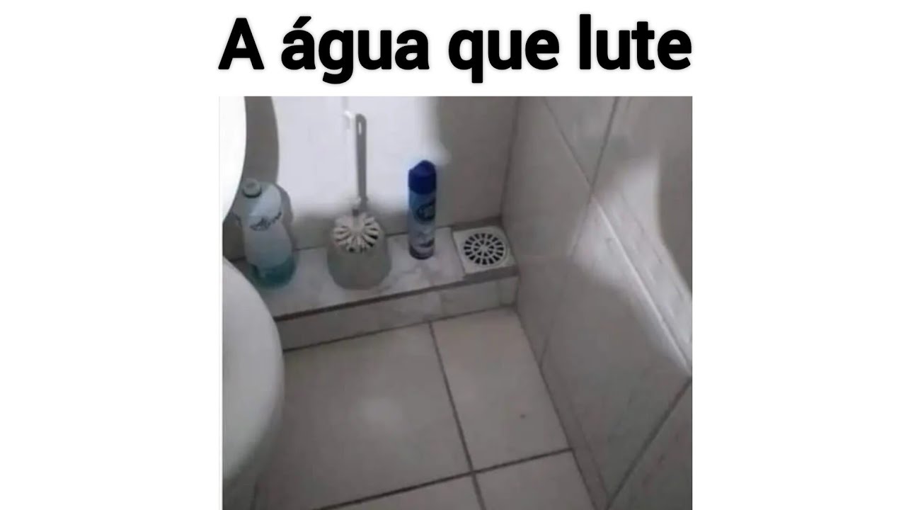 Rindo Alto: Os Melhores Memes em Imagens🤣🤣🤣 - YouTube