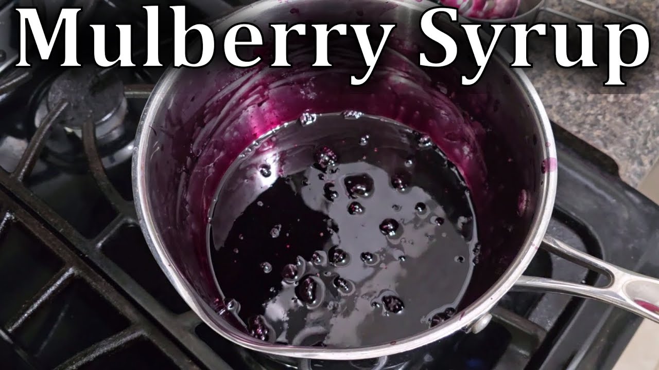 How To Make A Stunning Mulberry Syrup - YouTube