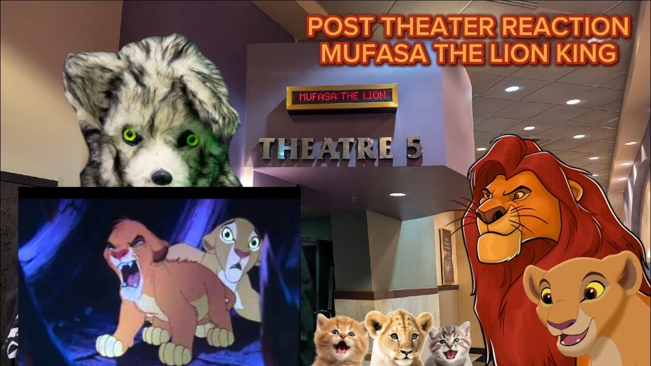 Post Theater Reaction | MUFASA THE LION KING - YouTube