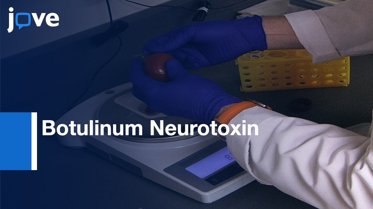 BoTest Matrix Assays to Isolate and Quantify Botulinum Neurotoxin ...
