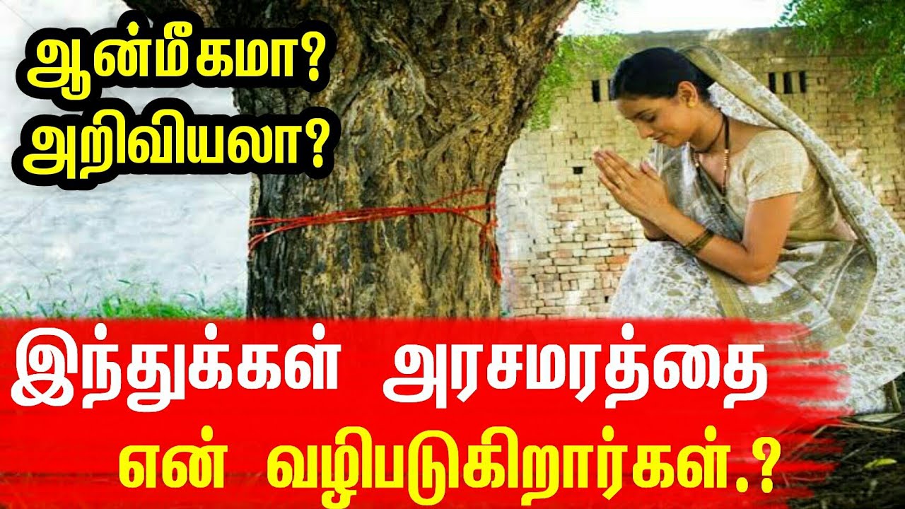 இந்துக்கள் அரசமரத்தை வழிபடுவது ஏன்? | Benefits of Peepal Tree ...