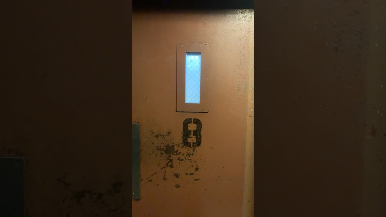 NYCHA Elliott house’s riding elevator 6th floor building 288 - YouTube