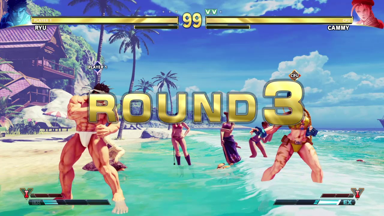 Ryu And Cammy 9734