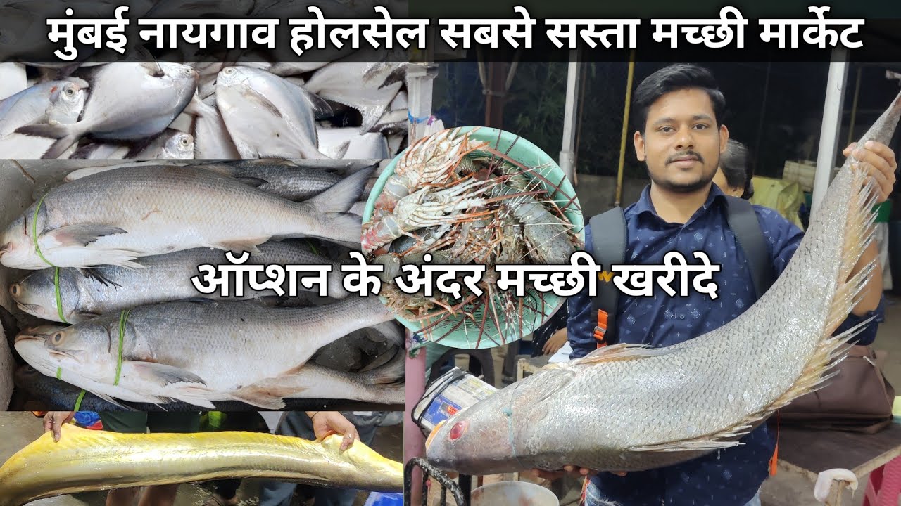 Naigaon Fish Market Latest Video | Mumbai Naigaon Fish Market | Naigaon ...