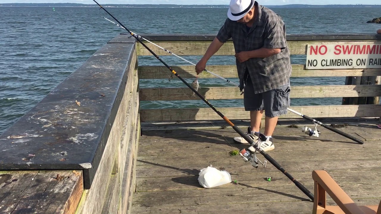Porgy Fishing - YouTube
