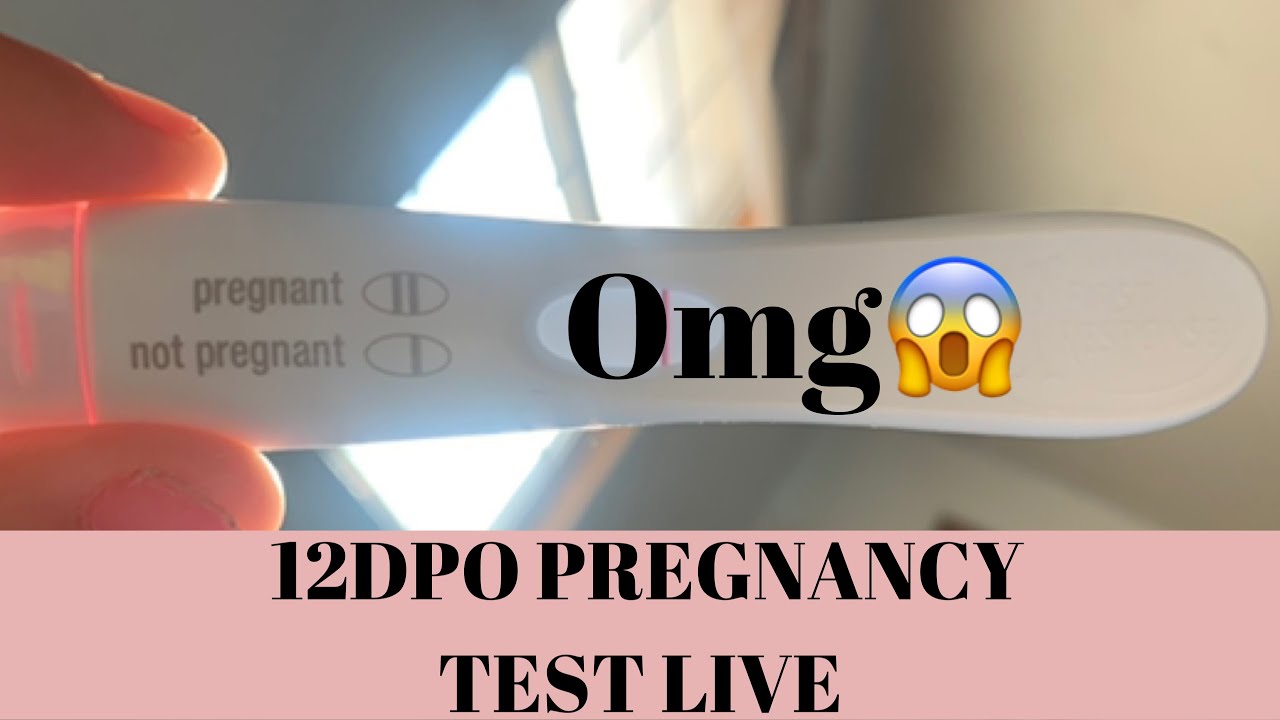 12DPO Live Pregnancy Test Results 2020 with First Response Test - YouTube