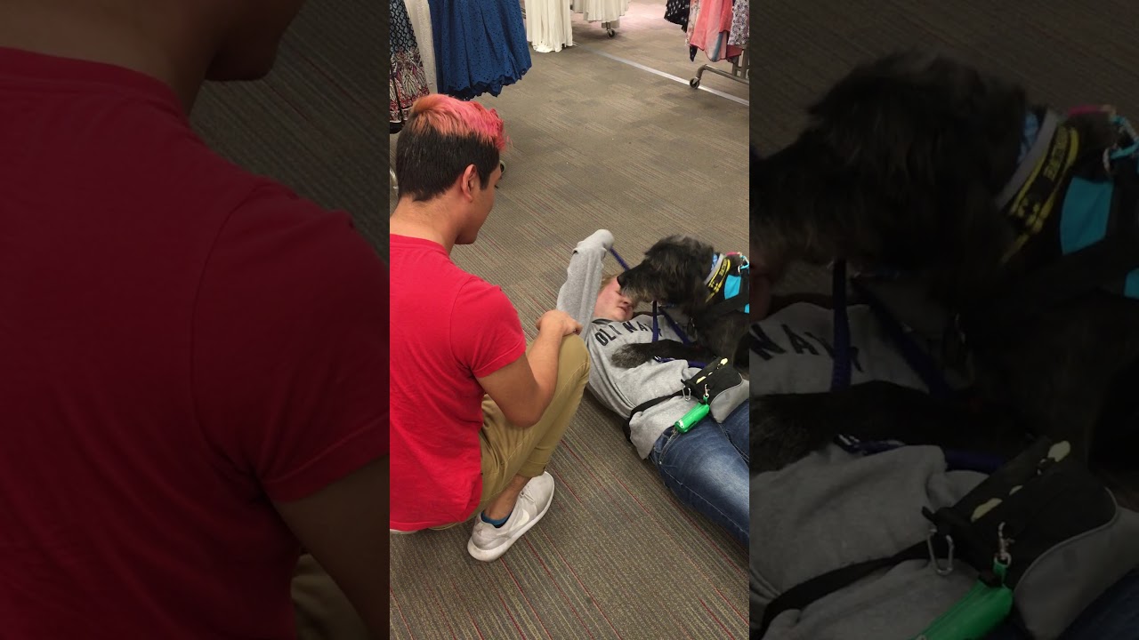 Service Dog syncope training - YouTube